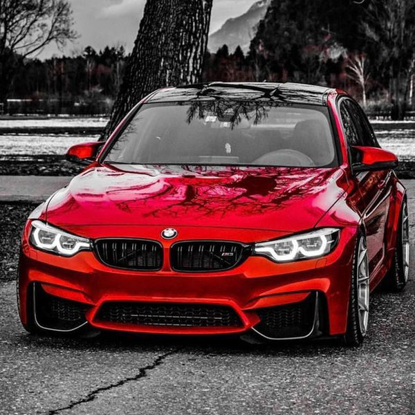 ABS Front Grille - BMW F8X M3/M4 & F3X 428i, 430i, 435i, 440i – Palenon ...